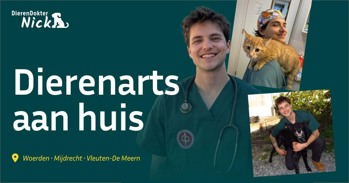 DierenDokter Nick | Dierenarts aan huis in woerden en omgeving ...